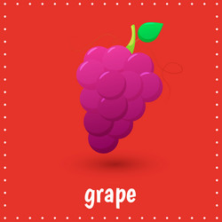 Grapes Flashcard Vector Images (45)