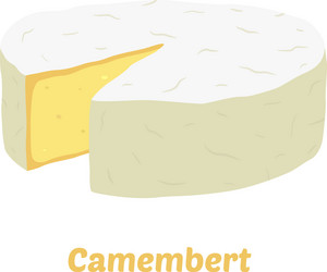 Camembert cheese on plate cartoon flat Royalty Free Vector