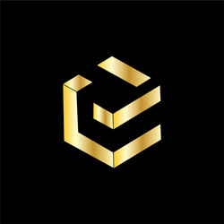 Rs - gold logotype elegant template for company Vector Image
