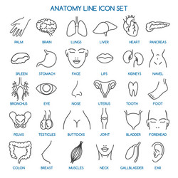 Anatomy Icons Vector Images (over 110,000)