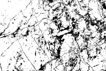 Distressed overlay texture Royalty Free Vector Image