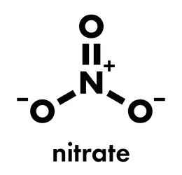Nitrate anion chemical structure skeletal formula Vector Image