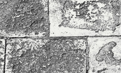 Cement floor texture background Royalty Free Vector Image