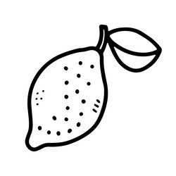 Doodle outline lemon hand drawn citrus with leaf Vector Image