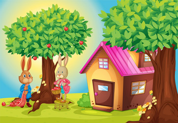 Rabbit House Vector Images (over 2,600)