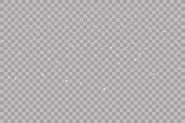 Falling hail or snow on a transparent background Vector Image