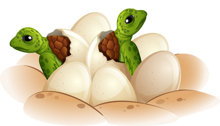 Group turtle in nature Royalty Free Vector Image