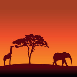 Safari Tree Vector Images (over 15,000)