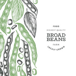 Hand drawn broad beans design template organic Vector Image