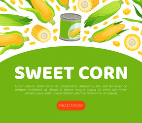 Sweet corn banner template natural organic farm Vector Image