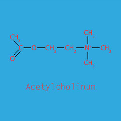 Acetylcholine is an organic chemical Royalty Free Vector
