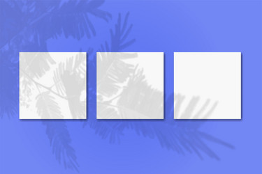 Tui Vector Images (96)