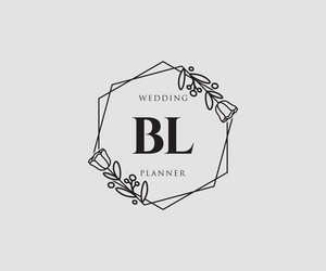 Initial bl feminine logo usable for nature salon Vector Image