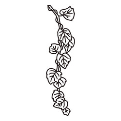 Ivy Banner Vector Images (over 360)