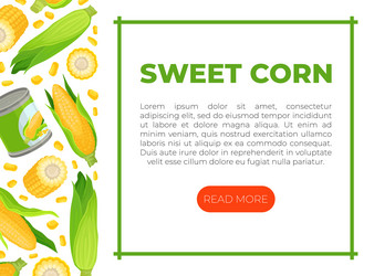 Sweet corn banner template natural organic farm Vector Image