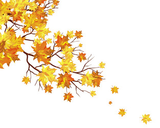 Autumn tree with falling yellow leaves seasonal Vector Image
