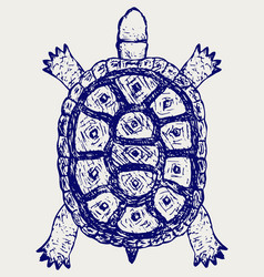 Sketches Of Land Turtles