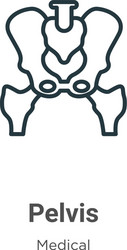 Pelvis Anatomy Vector Images (over 2,000)