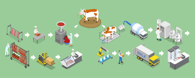 Milk production infographics Royalty Free Vector Image