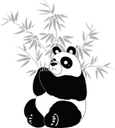 Panda china design traditional chinese graphic Vector Image