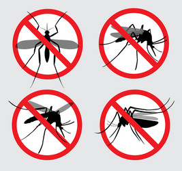 Chikungunya Vector Images (over 170)