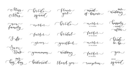 Wedding calligraphy invitation and reception Vector Image