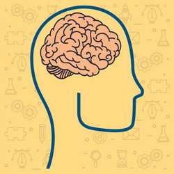 Human profile with visible brain Royalty Free Vector Image