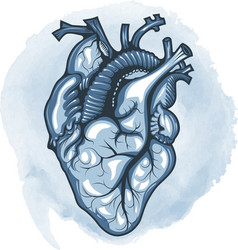 Watercolor human heart with splashes of blood Vector Image
