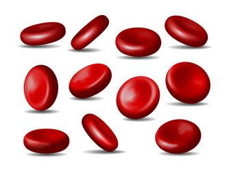 Red blood cells Royalty Free Vector Image - VectorStock