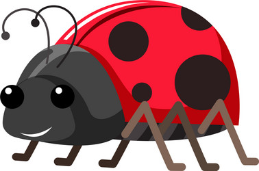 Cute Lady Bug Clipart