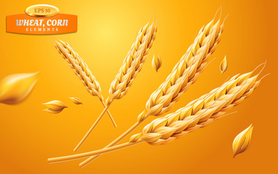 Barley Vector Images (over 34,000)
