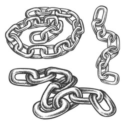 Bicycle chain sketch Royalty Free Vector Image