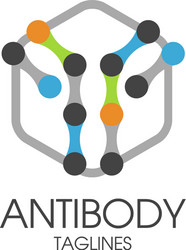Structure of the antibody Royalty Free Vector Image