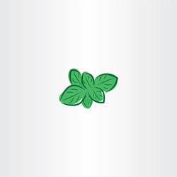 Mint leaf Royalty Free Vector Image - VectorStock