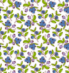 Raspberry pattern Royalty Free Vector Image - VectorStock