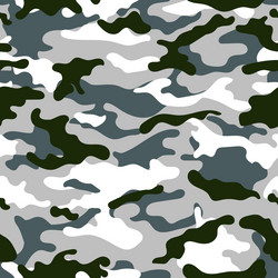 Military camouflage pattern design Royalty Free Vector Image