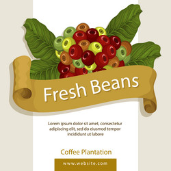 Flat design coffee plantation posts Royalty Free Vector