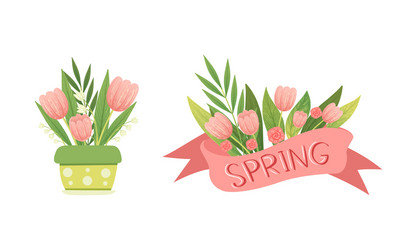 Spring holidays tulips flowers bouquet Royalty Free Vector