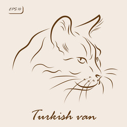 Turkish Van Vector Images (79)