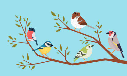 Birds Sitting Vector Images (over 8,500)