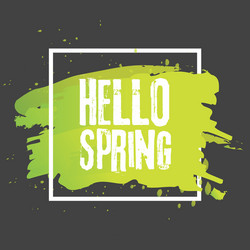 Hello spring lettering with hand drawn letters Vector Image