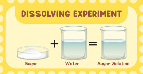Dissolving science experiment with sugar dissolve Vector Image