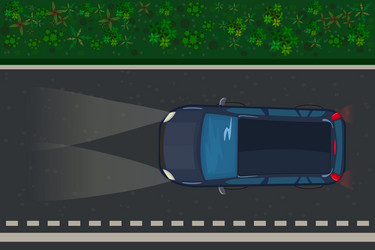 Car drive on road at night Royalty Free Vector Image