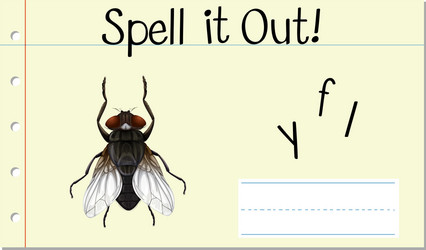 Fly Flashcards Flashcard Vector Images (over 200)