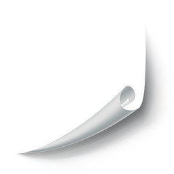 Curled paper corner curve page corner page edge Vector Image
