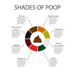 Green color palette swatch tone chart rgb Vector Image