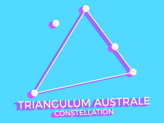 Circinus constellation 3d symbol constellation Vector Image