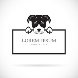 Cartoon pet text frame cute dogs and cats for kids