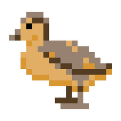 Pixel art duck bird retro video game asset Vector Image
