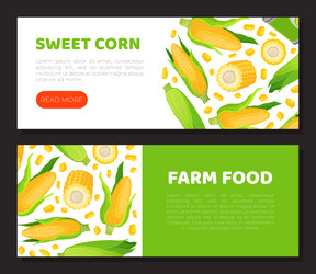 Sweet corn banner template natural organic farm Vector Image